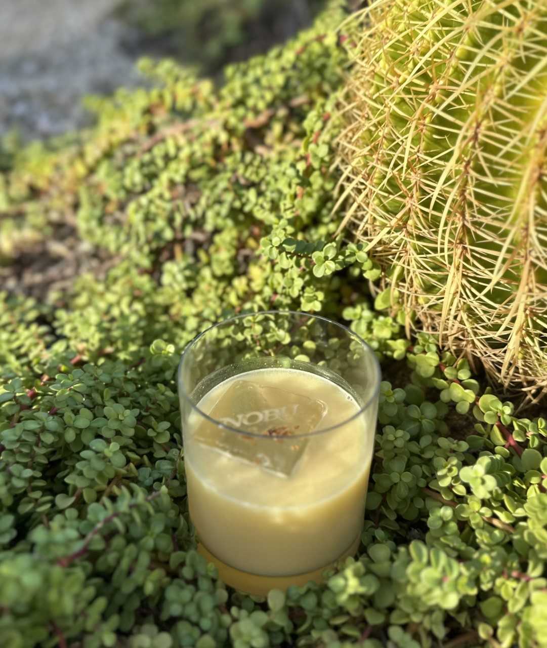 Nobu Scottsdale | Japanese Restaurant | Bar & Lounge » Nobu Restaurants