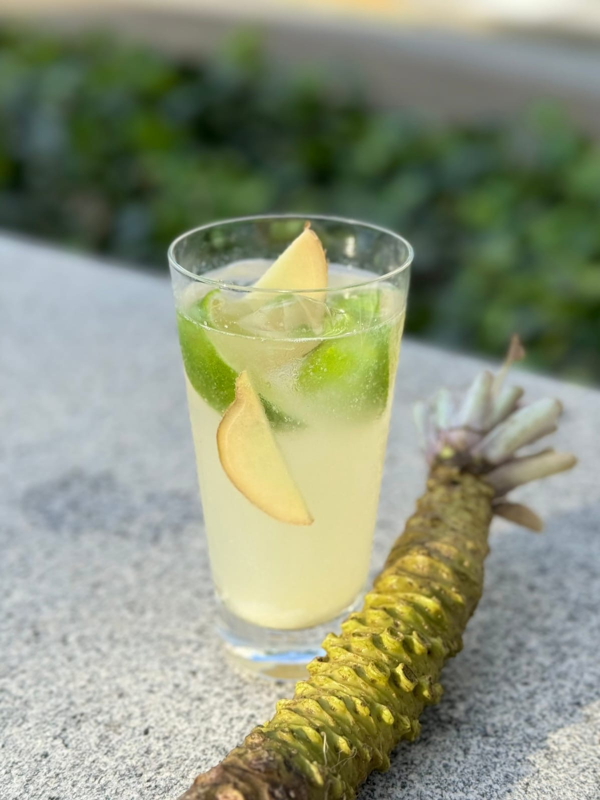 Nobu Tokyo | Japanese Restaurant | Bar & Lounge » Nobu Restaurants